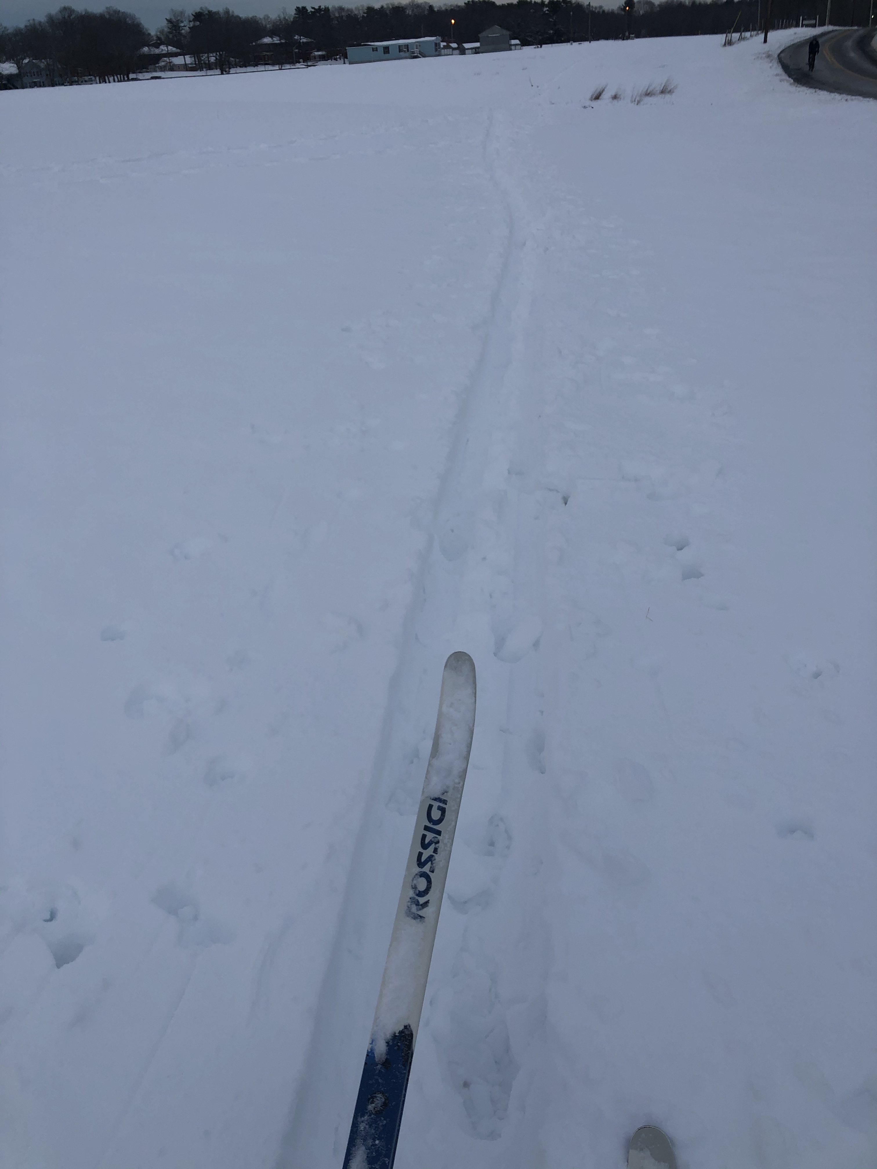 Guess this horizontal ski area #87 - Snow Journal