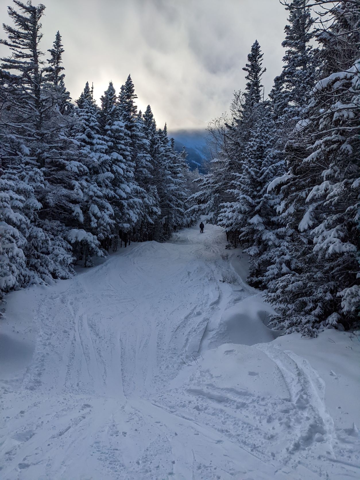 Sherburne Ski Trail 01/21/2023 — Snowjournal 2.0